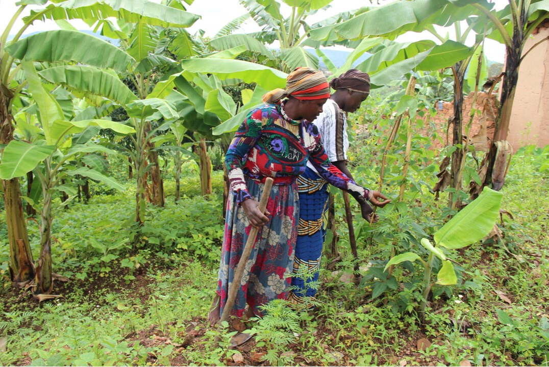 How Rwanda is making its cities resilient and providing its people with ...